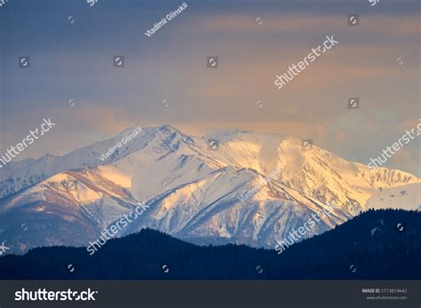 20 Imágenes De Abago Imágenes Fotos Y Vectores De Stock Shutterstock