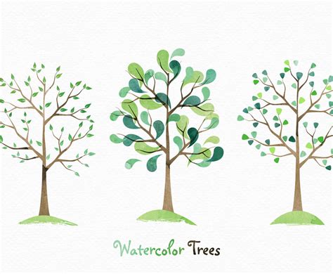 Watercolor Trees Vector Art And Graphics