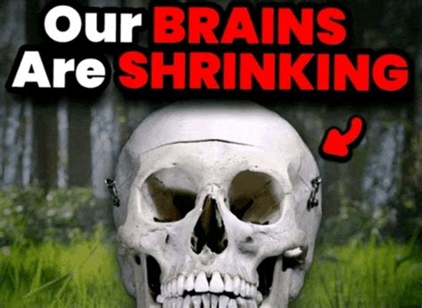 Our Brains Are Shrinking Brainrot Meme Our Brains Are Shrinking Brain Shrink Scopri E
