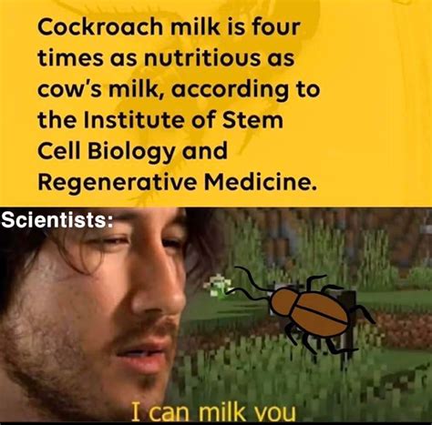 Who Want A Cockroach Milkshake Rmemes