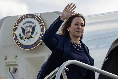 Top Dem Strategist Gives Msnbc Fearful Three Word Take On Harris