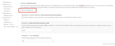 Vscode远程连接服务器后安装github Copilot无法使用 技术栈