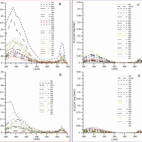 Specific Absorption Coefficient Of Phytoplankton At Surface A C And