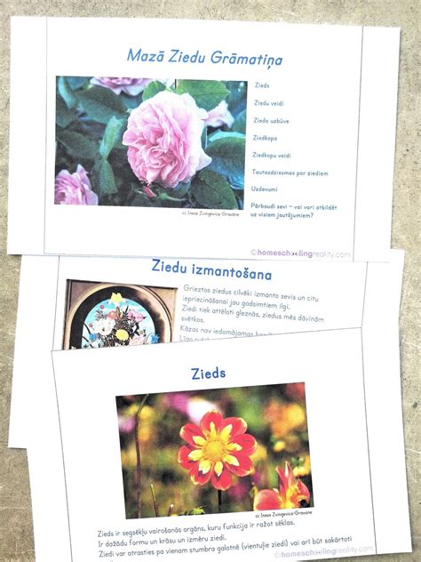 Mazā Ziedu Grāmatiņa