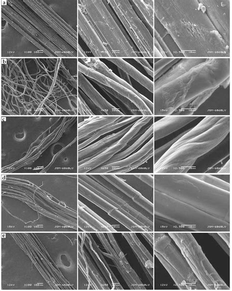 Linen Fiber Microscope