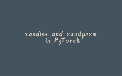 randint and randperm in PyTorch 拾光赋
