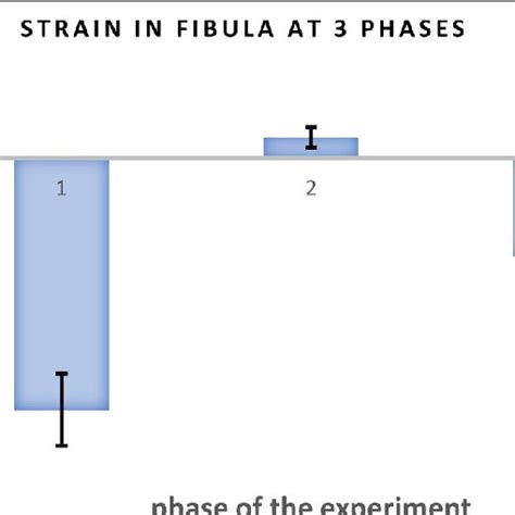 The Three Phases Of The Procedure With Fibular Resection And Synostosis