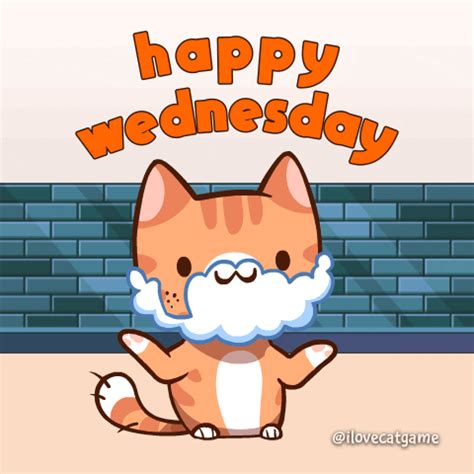 Wed  60 Photos