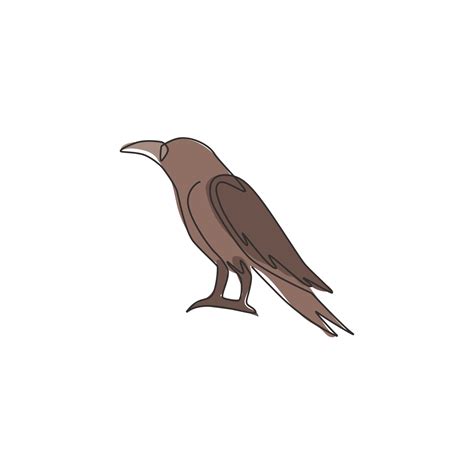 Black Raven Bird