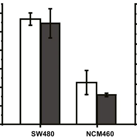 Fluorescence Spectra Of Bpmn²⁺dna Epcam Aptamer Nanosensor As