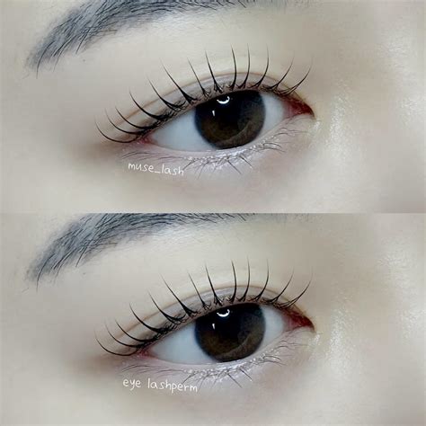 속눈썹펌전문샵 Sᴛᴜᴅɪᴏᴍᴜsᴇ 여름이벤트 놓치지말고 시술하세요🐰 🩵라뷰네일x스튜디오 뮤즈🩵 Lavunail 1