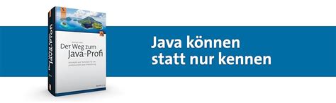 Der Weg Zum Java Profi Konzepte Und Techniken Für Die Professionelle Java Entwicklung Aktuell