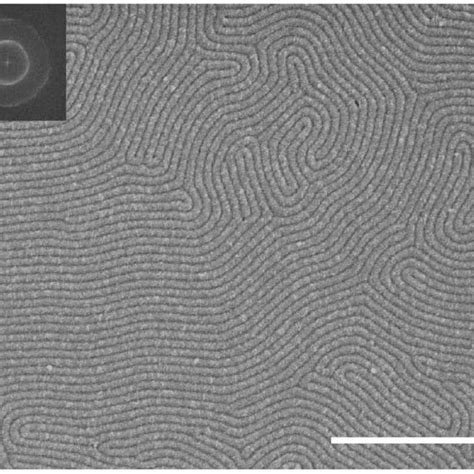 Sem Image Of A Thin Film Of Ps B P4vp After Annealing In Chloroform