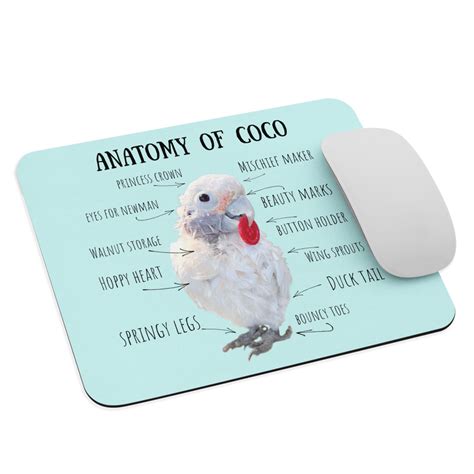 Anatomy Of Coco Mouse Pad