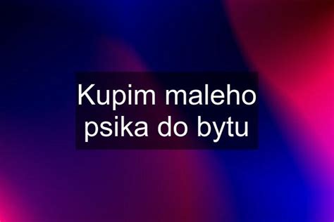 Kupim Maleho Psika Do Bytu Inzercia Predaj Predám Bazár