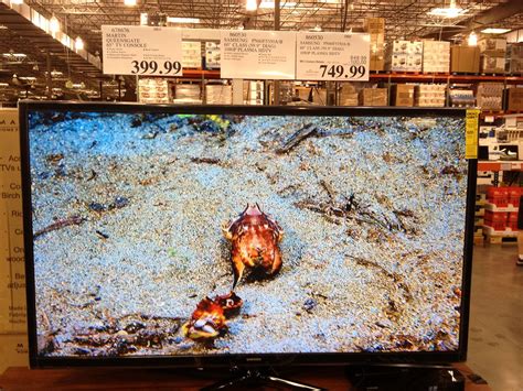 Costco Ca Android Tv At Paul Bowers Blog