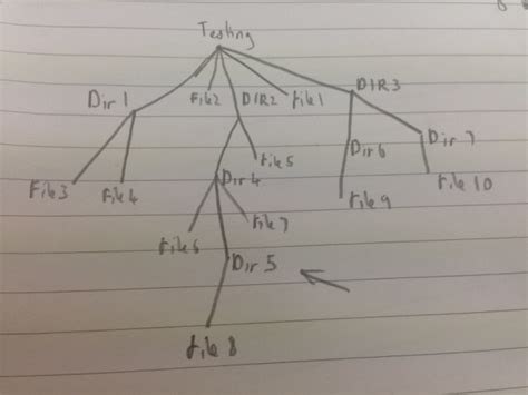 Infinite While Loop In Bash Script Stack Overflow