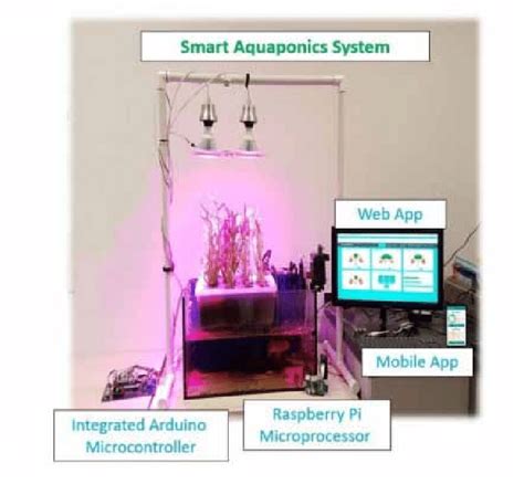 Example Of Smart Aquaponics System Download Scientific Diagram