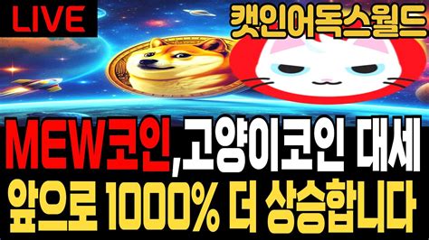 캣인어독스월드코인 전망 고양이 코인 대세 앞으로 1000 더 상승 합니다 캣인어독스월드코인 캣인어독스월드코인 전망