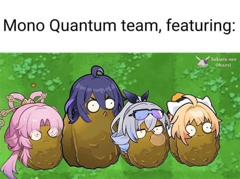 Mono Quantum Team Be Like R Honkaistarrail