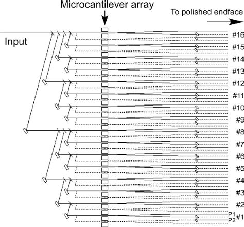 Figure 2 From Demonstration Of Microcantilever Array With Simultaneous