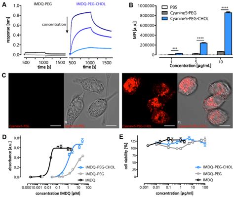 A Biolayer Interferometry Bli Sensorgrams Of Non Amphiphilic