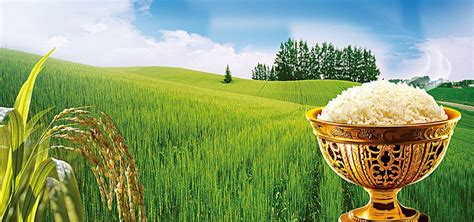 Data Mining Tool Weka