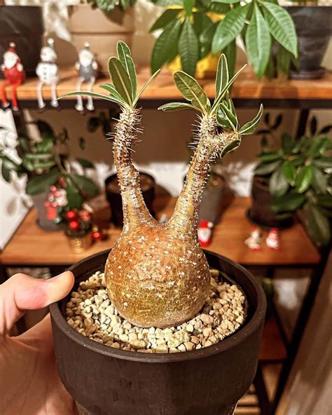 山本浩司さんのインスタグラム 山本浩司yamamototm3