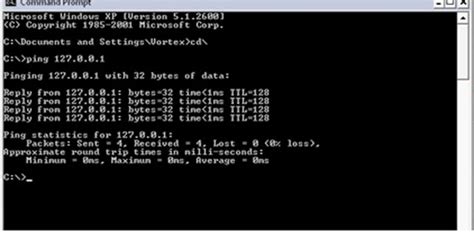 Networking Testing Connectivity With Ping