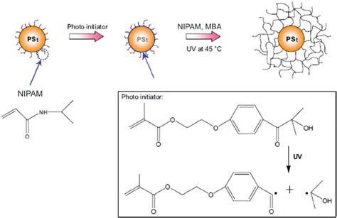 Schematic Representation Of The Preparation Of Pstnipam Core Shell