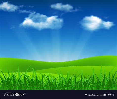 Nature Summer Background With Green Grass Vector Image