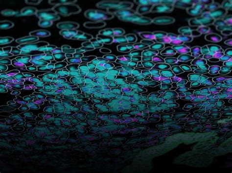 Understanding Spatial Sequencing In Context Nanostring