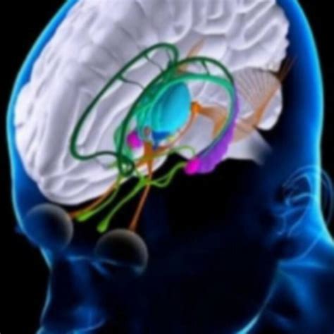 Trigonometry Of Cursive Layers A Journal By Love 5bx All Poetry