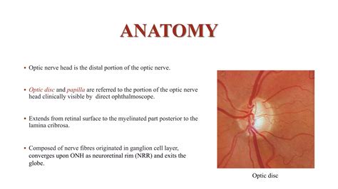 Optic Nerve Head Evaluation Pptx