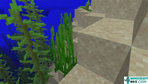 How To Make Sea Grass In Minecraft Minecraft