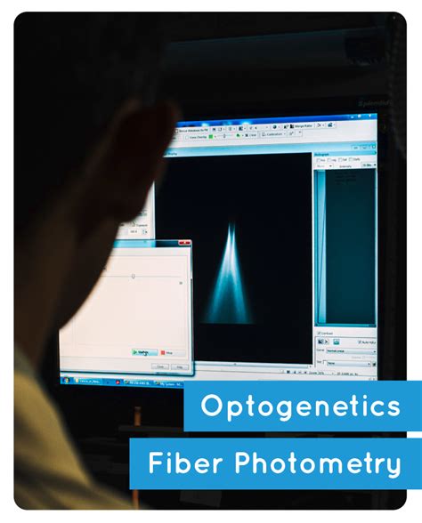 Home Optogenetics And Fiber Photometry Optogenix