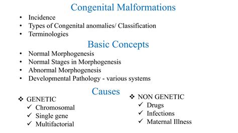 Malformations Pptx