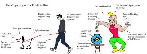 The Virgin Dog Vs The Chad Goldfish Rvirginvschad