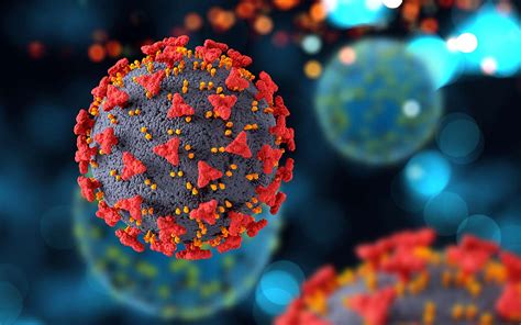 ¿qué Es Un Virus Definición Y Características Aprendí Hoy