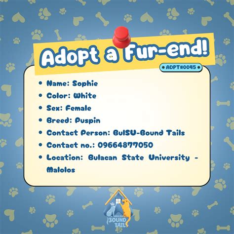 𝐎𝐩𝐞𝐧 𝐟𝐨𝐫 𝐀𝐝𝐨𝐩𝐭𝐢𝐨𝐧 Adopt A Fur Rend Bulsu Bound Tails Facebook
