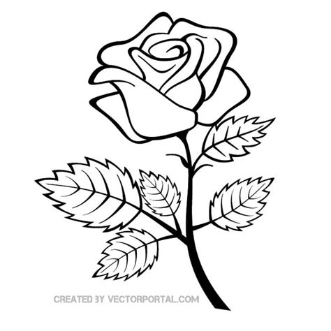 Rose Outline Image Ai Royalty Free Stock Vector Images