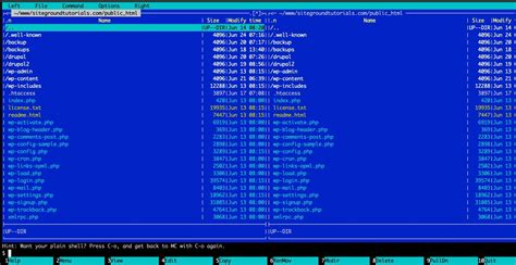 How To Move And Copy Files Via SSH SiteGround Tutorials