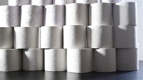 788 Human Toilet Paper Stock Videos Footage And 4k Video Clips Getty