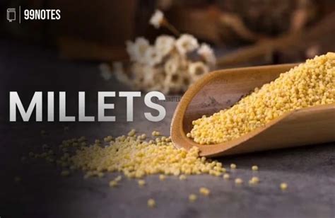 Home Rule Movement 1916 1918 Indias Fight For Self Rule