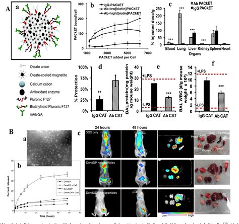 Figure 1 From Enzymepolymericinorganic Metal Oxidehybrid
