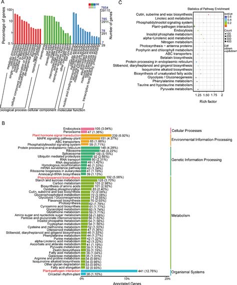 Classification And Enrichment Analysis Of De Lncrna Target Genes Go Download Scientific
