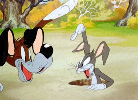 Good Morning Looney Tunes  Looney Toons  S Rxfrf