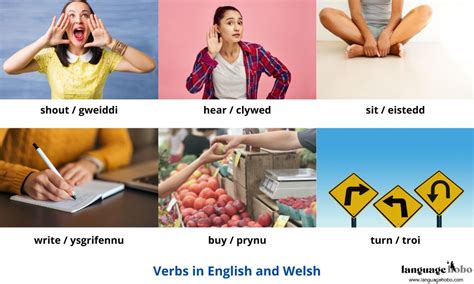 75 Of The Most Common Verbs In Welsh Language Hobo