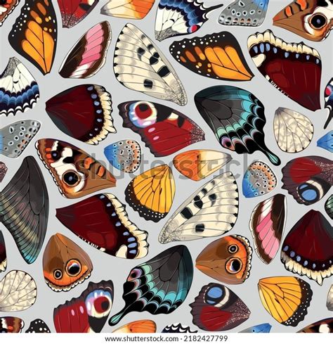 Butterfly Moth Wings Vector Seamless Pattern Stock Vector Royalty Free