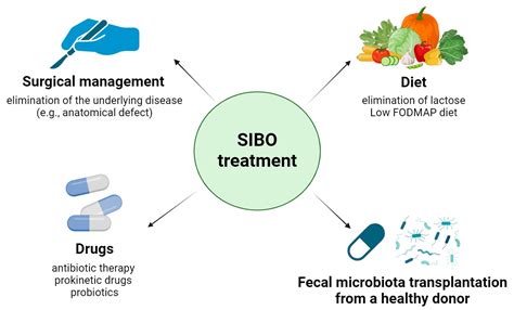 Small Intestinal Bacterial Overgrowth Sibo And Twelve Groups Of
